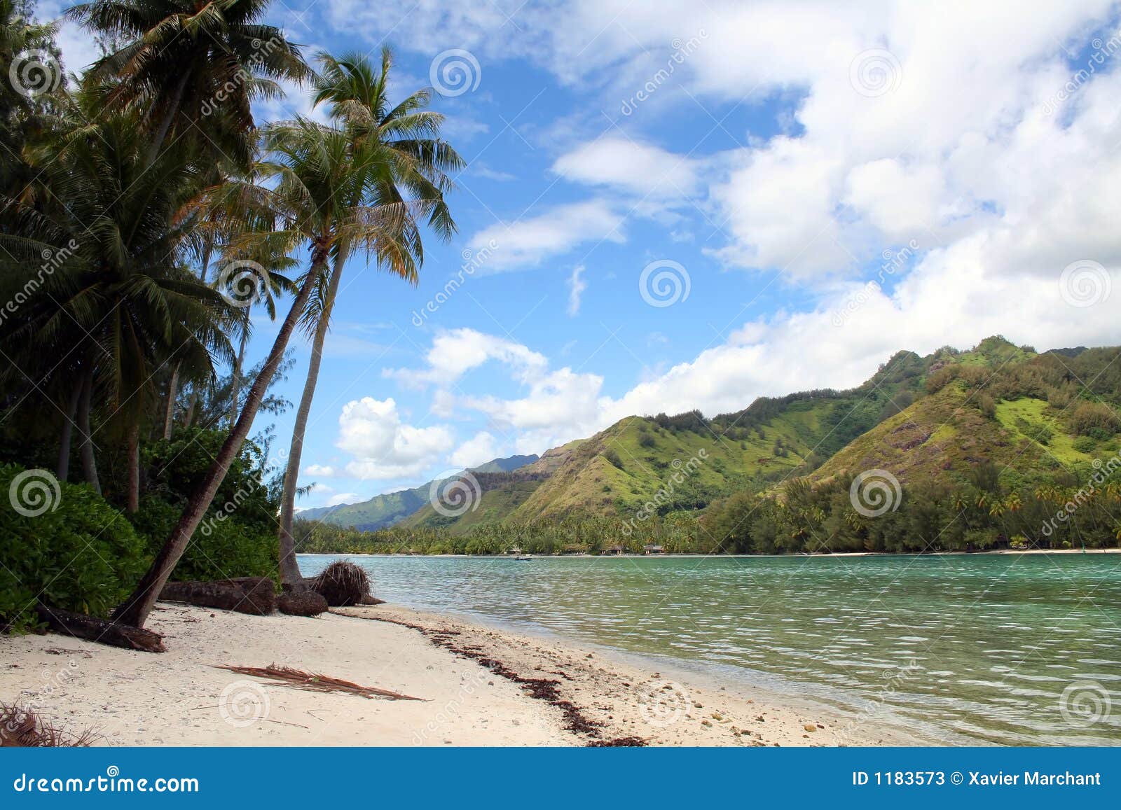 Tropisch Het Zandstrand Van De Woestijn Stock Afbeelding - Image of ...