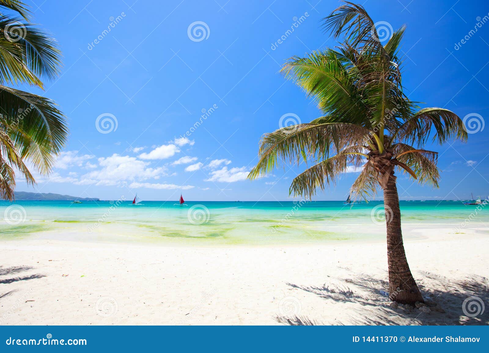 Tropisch Paradijs stock foto. Image of blauw, toneel - 14411370