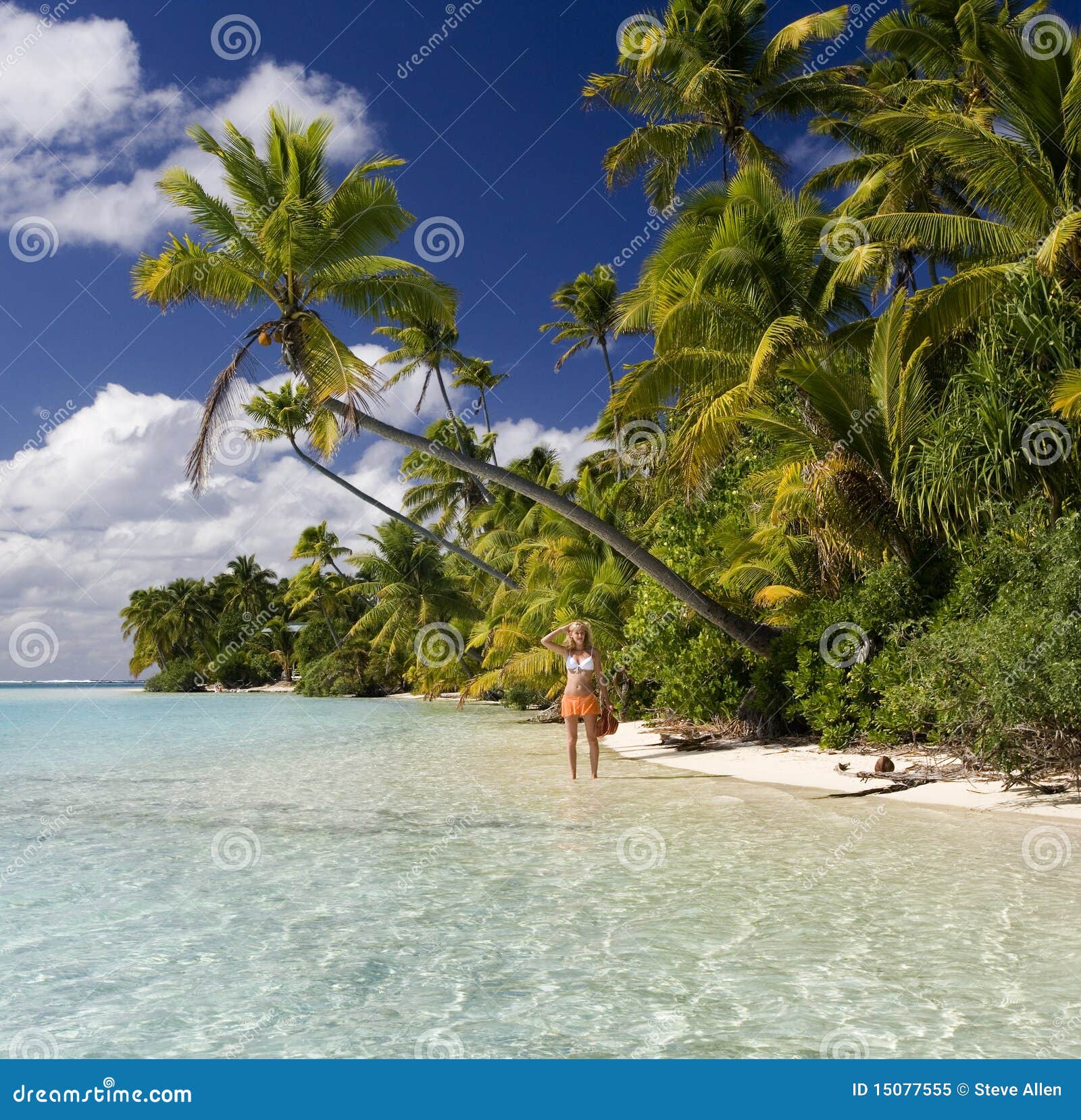 Tropisch Paradijs - De Cook Eilanden Stock Afbeelding - Image of rust ...