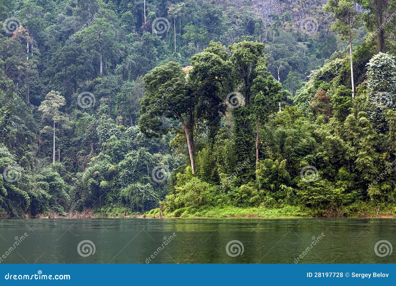 Tropisch regenwoud stock foto. Image of azië, rust, kust - 28197728