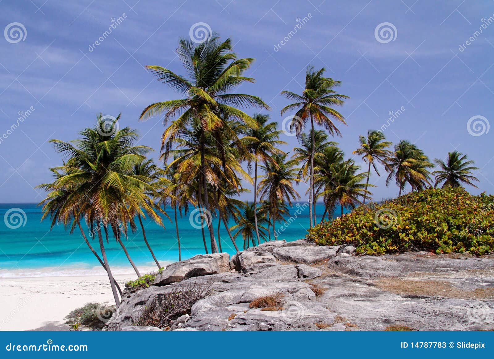 Tropisch Strand stock afbeelding. Image of caraïbisch - 14787783