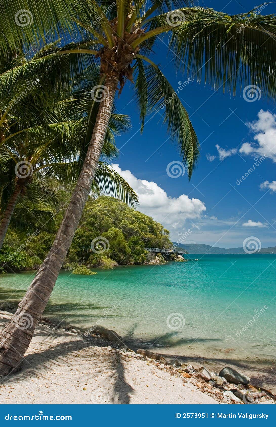 Tropisch strand stock afbeelding. Image of palm, zand - 2573951