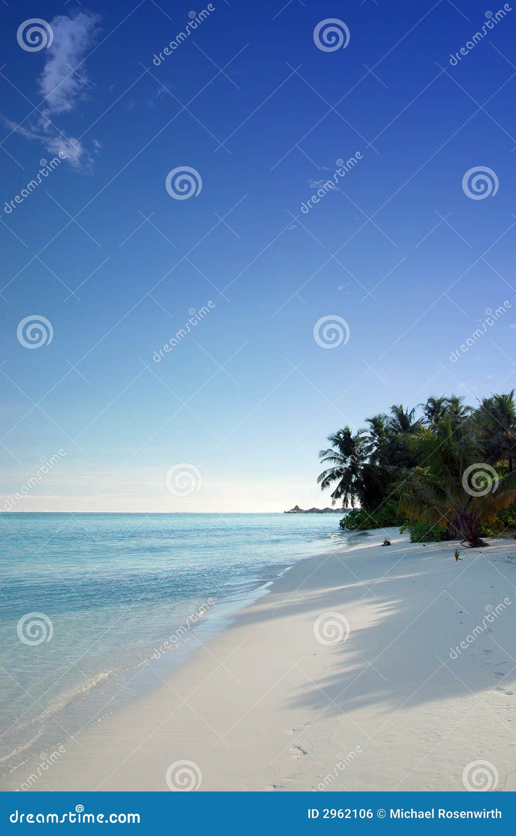 Tropisch Strand Picture. Image: 2962106