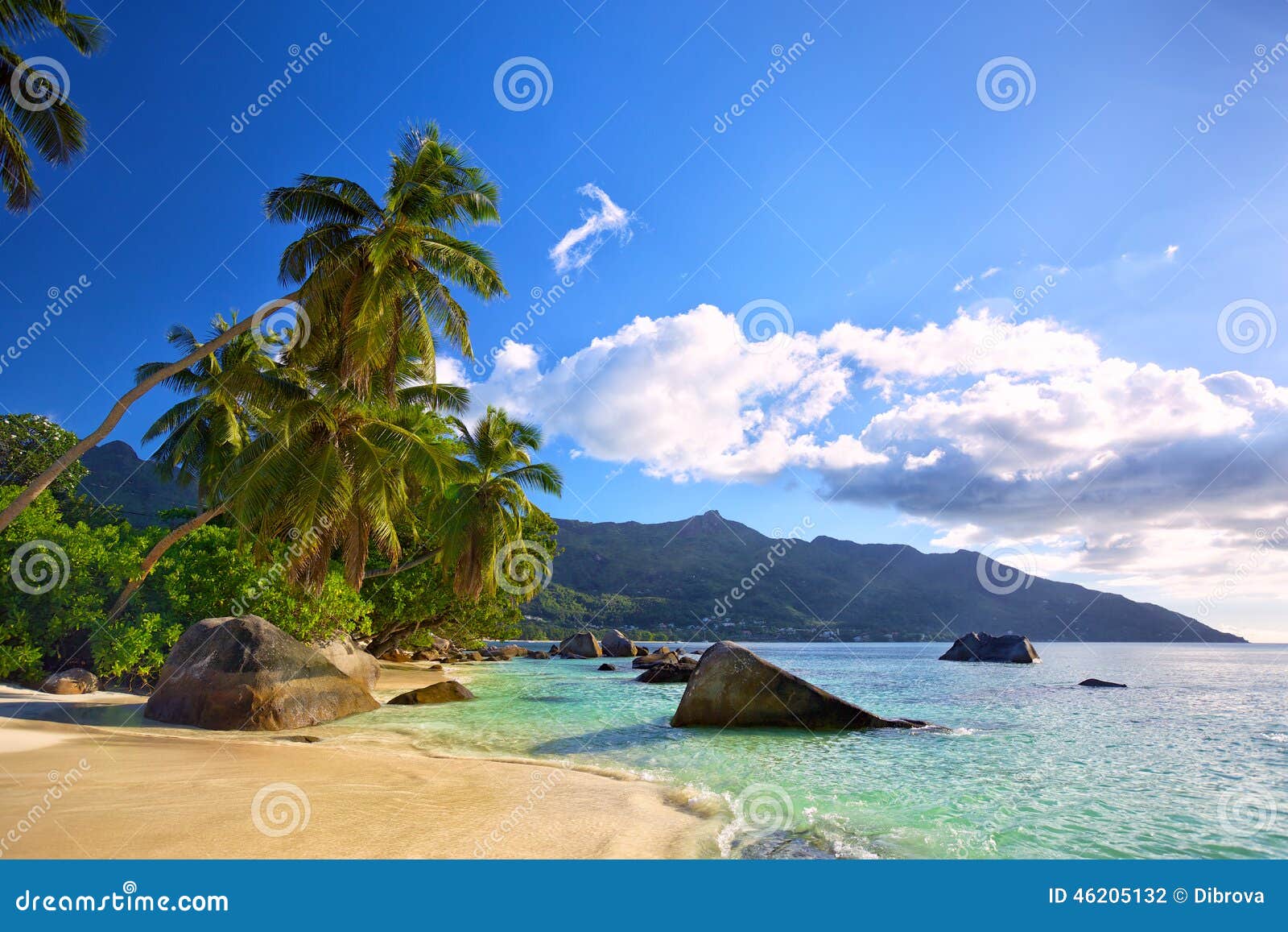 Tropisch strand stock foto. Image of palmen, nave, exotisch - 46205132