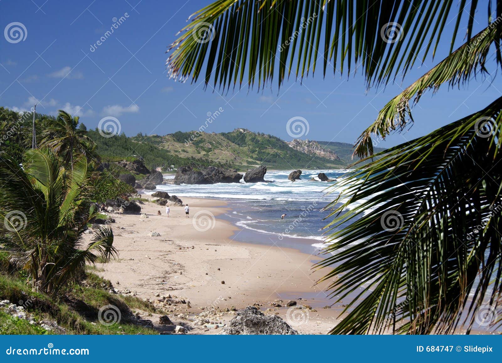 Tropisch Strand stock afbeelding. Image of palm, vakantie - 684747