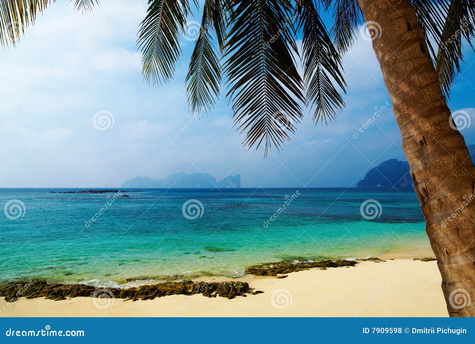Tropisch strand stock foto. Image of landschap, ontsnapping - 7909598