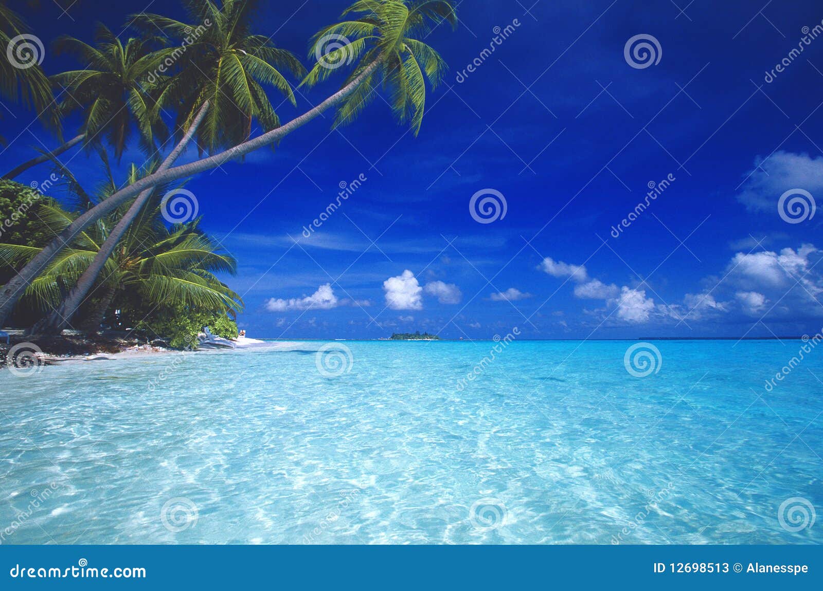 Tropisch Strand De Maldiven Stock Afbeelding - Image of strand, oceaan ...