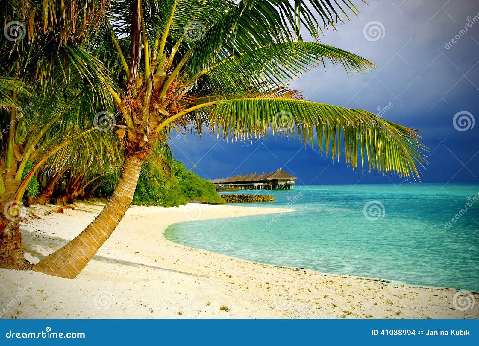 Tropisch strand met palmen stock foto. Image of plezier - 41088994