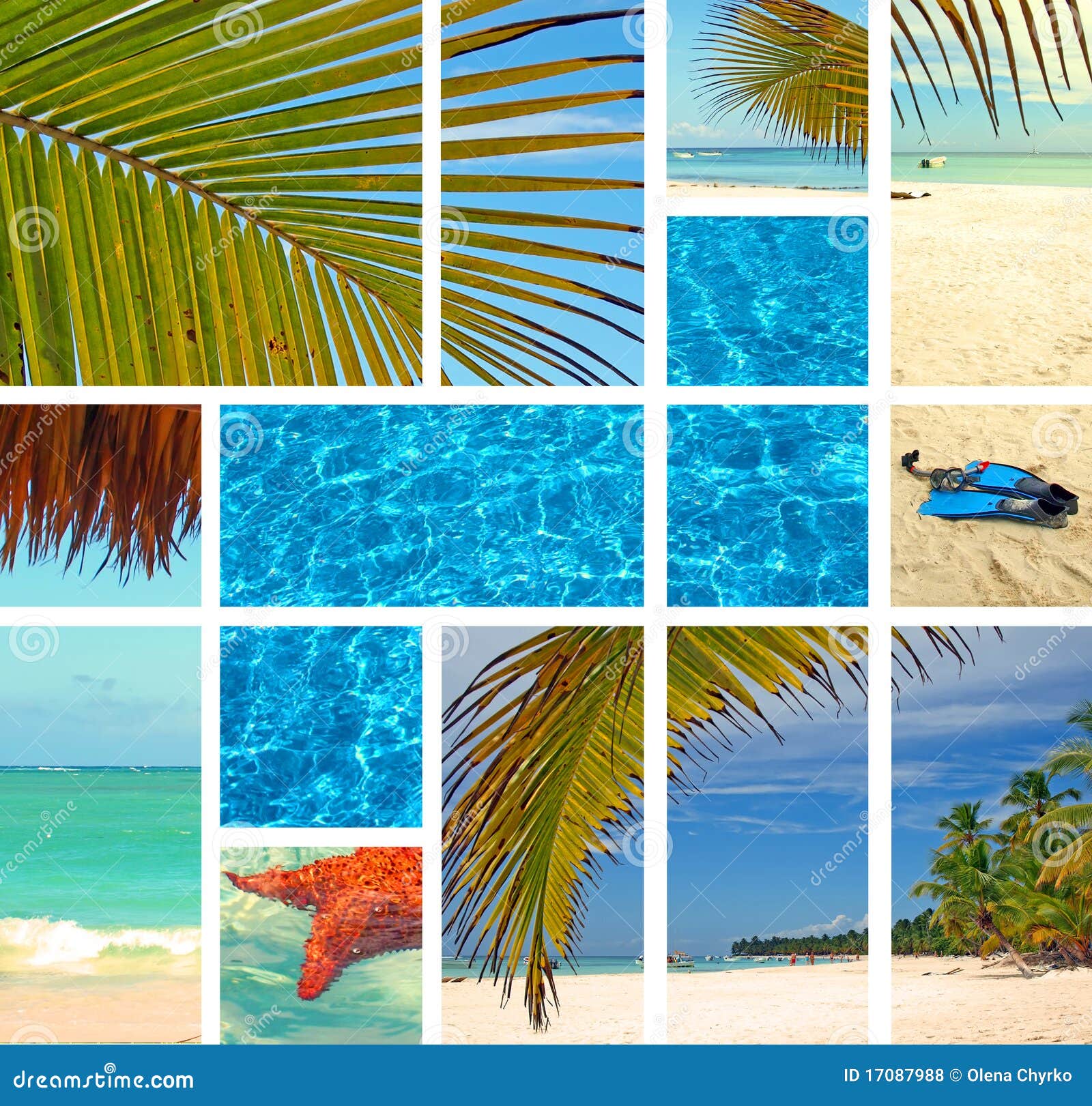 Tropische Collage. stockfoto. Bild von feiertag, küste - 17087988