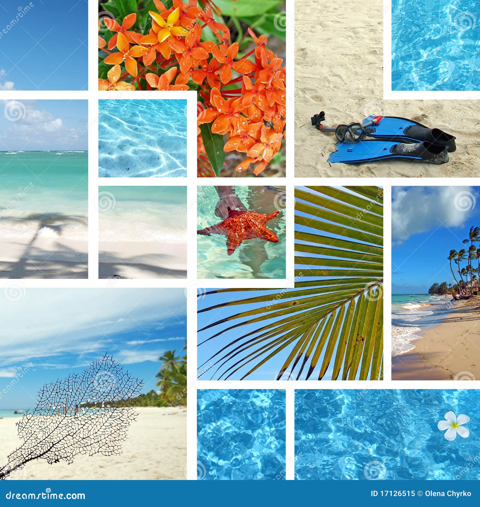 Tropische Collage. Exotische Reise. Stockbild - Bild von koch ...