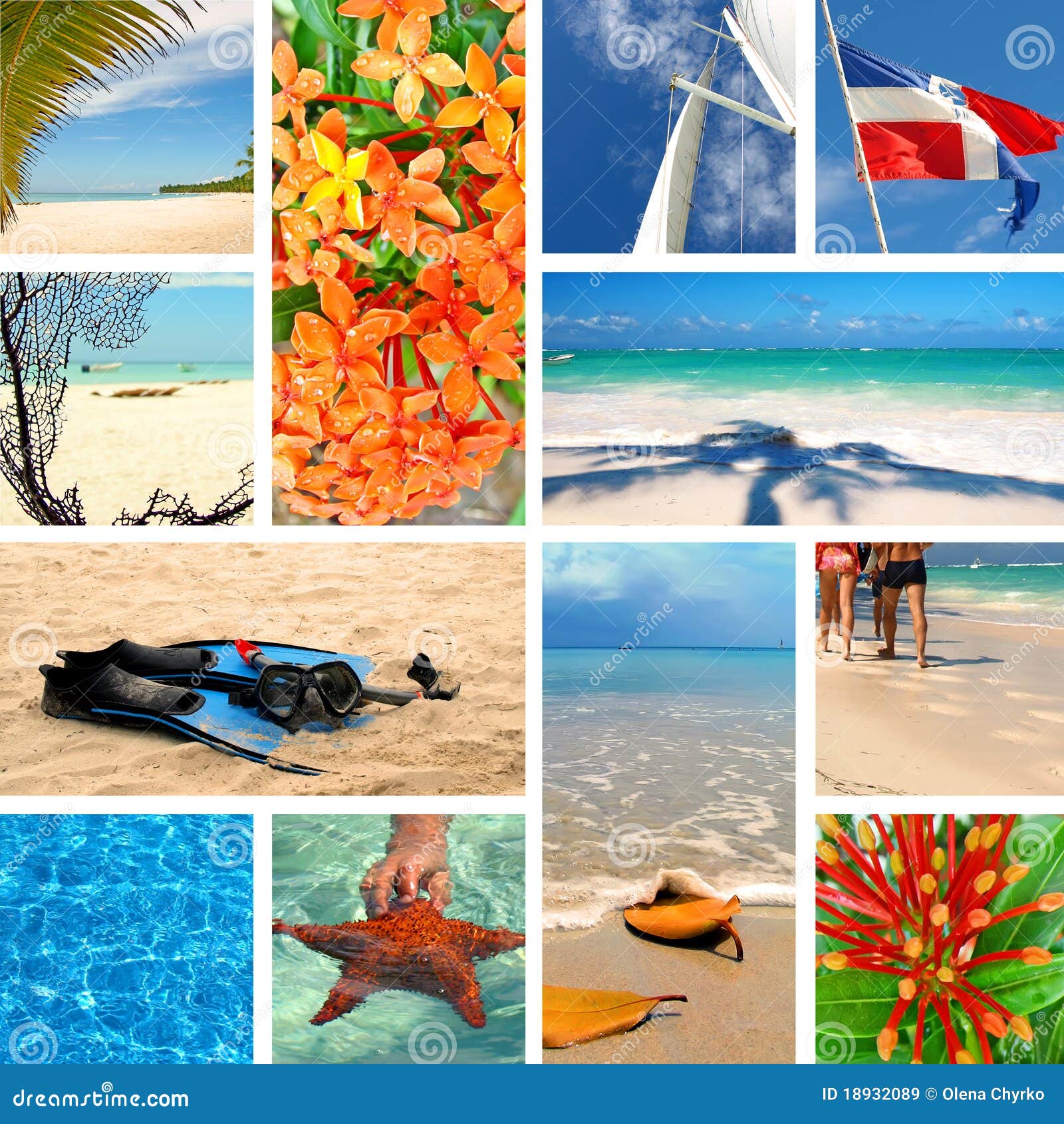 Tropische Collage. Exotische Reise. Stockbild - Bild von palme, blume ...