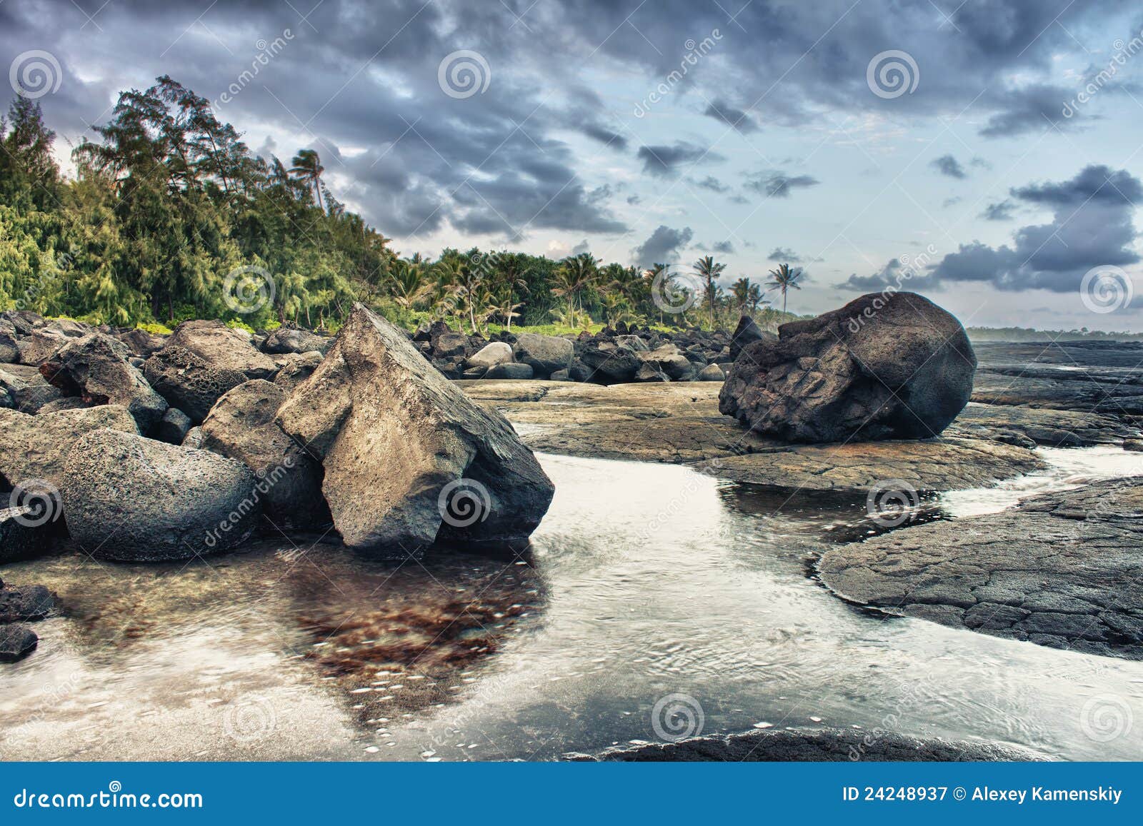 Tropische Lavastrand- Und -palmen Stockbild - Bild von rücksortierung ...