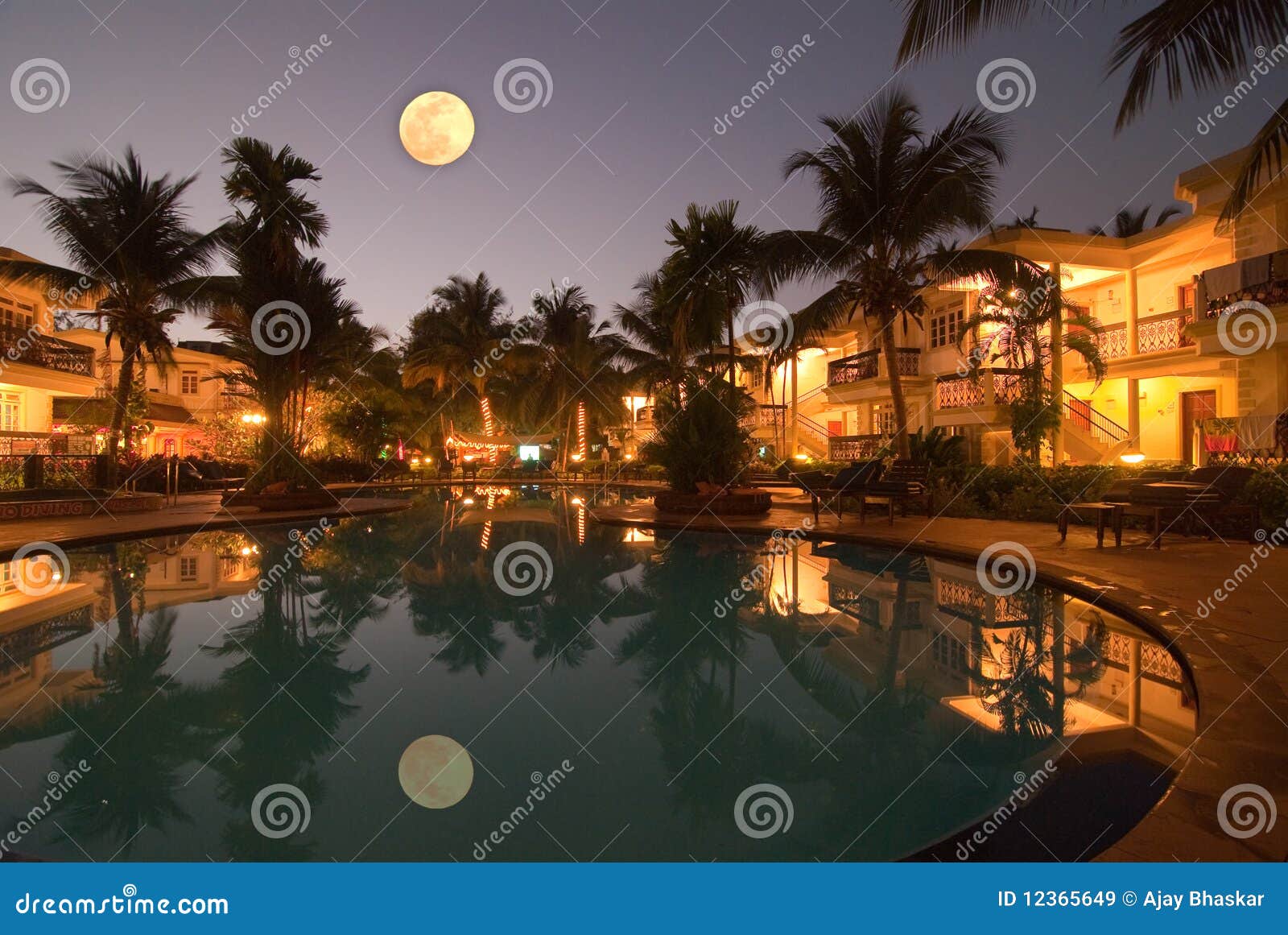 Tropische toevlucht stock afbeelding. Image of palm, poolzijde - 12365649