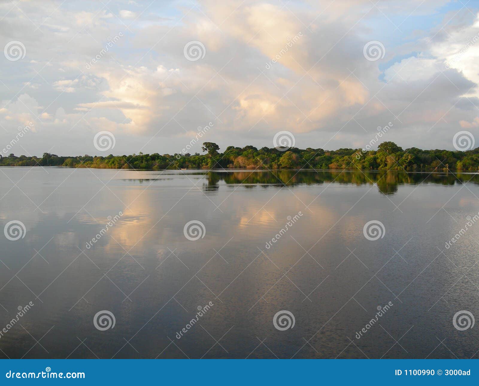 Tropische WaldSkyline Auf Dem Amazonas-Fluss Stockfoto - Bild von ...