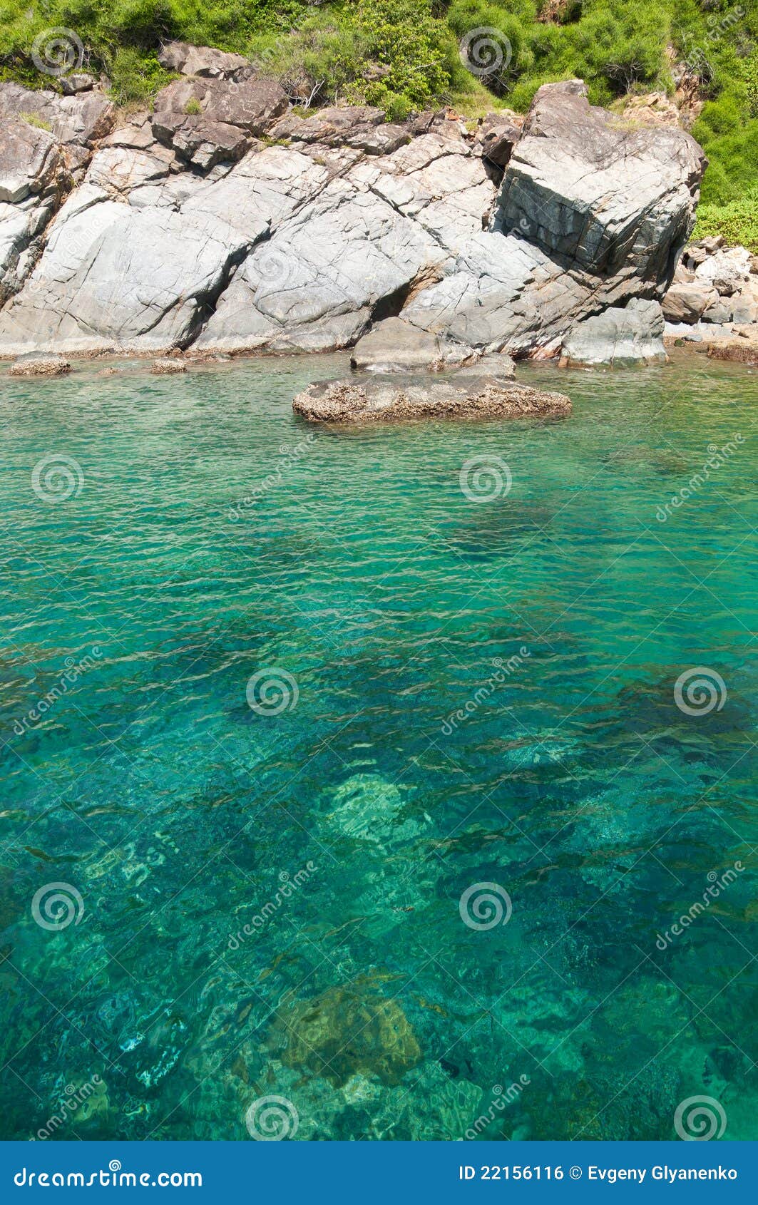 Tropische Water en Stenen stock foto. Image of groen - 22156116