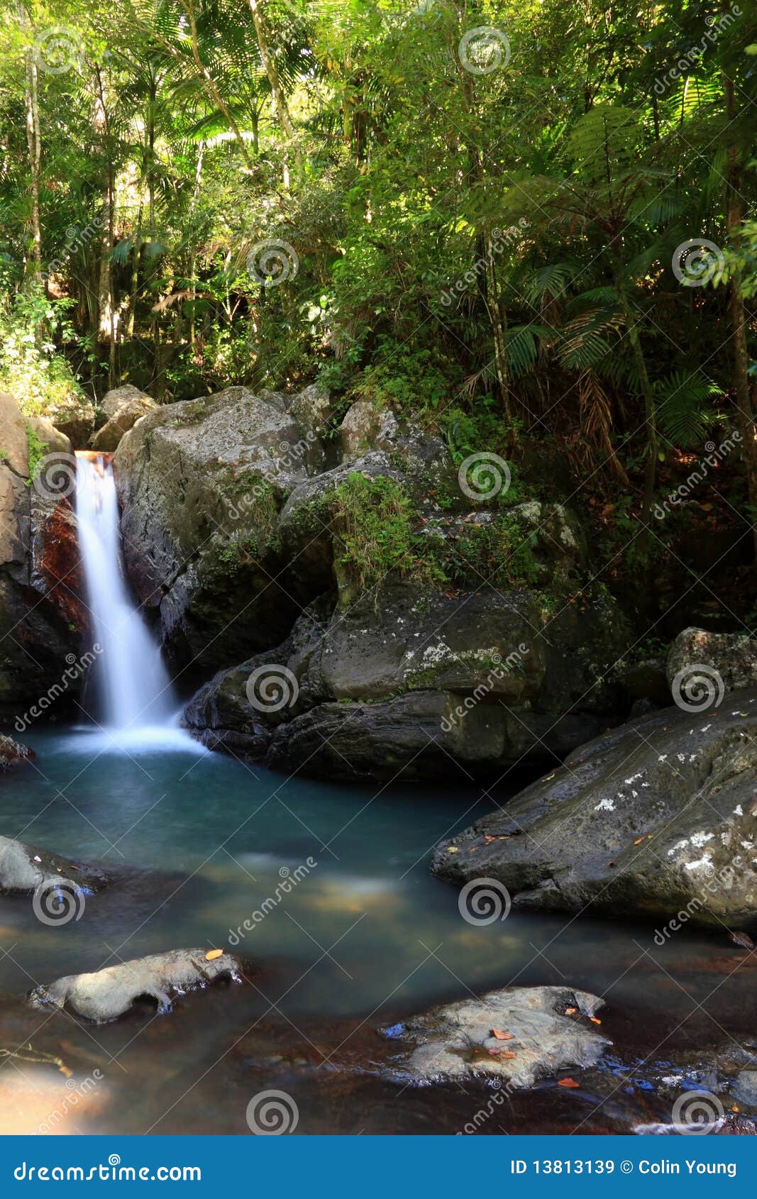 Tropische Waterval stock afbeelding. Image of dalingen - 13813139