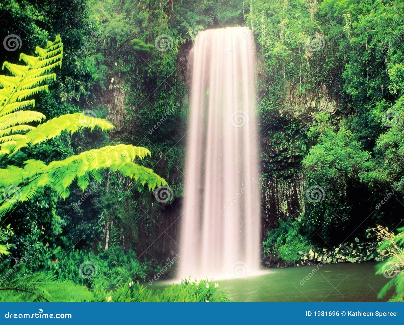 Tropische Waterval stock foto. Image of bomen, nave, installaties - 1981696