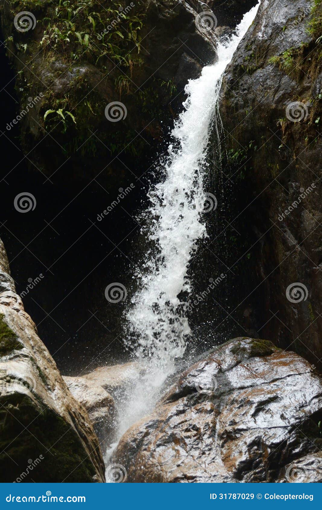 Tropische waterval stock afbeelding. Image of rivier - 31787029