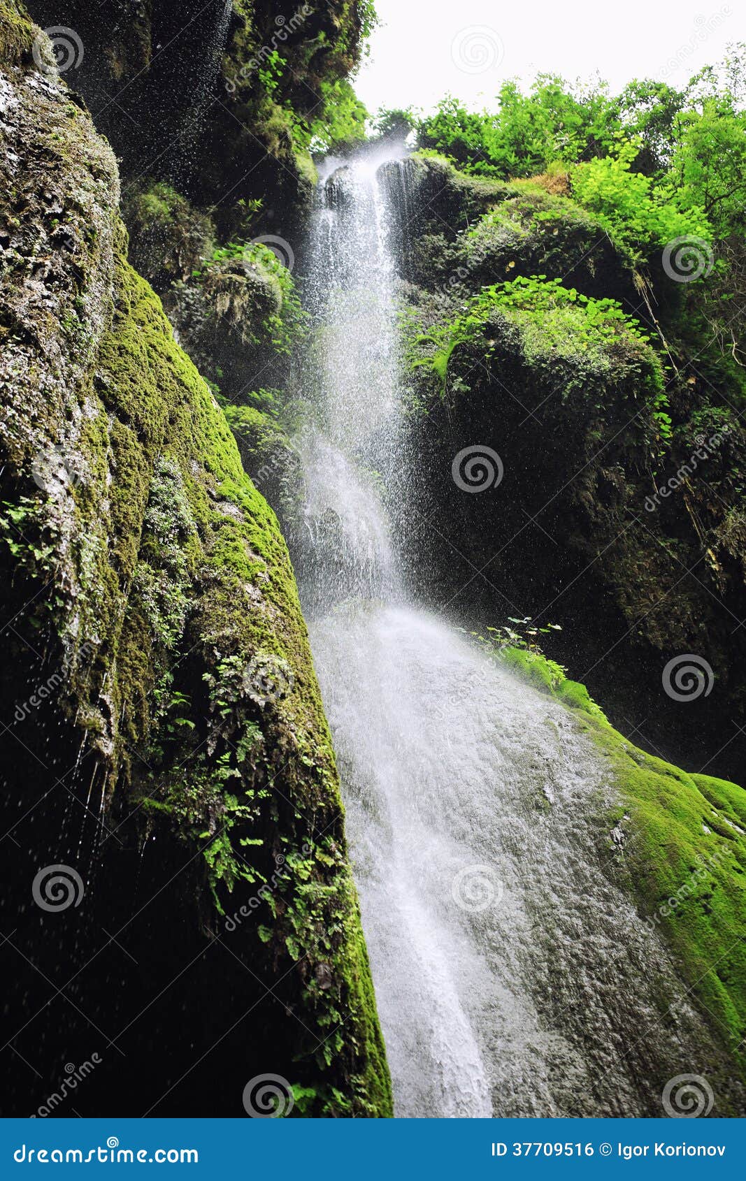 Tropische Waterval Met Installaties Stock Foto - Image of bemost ...