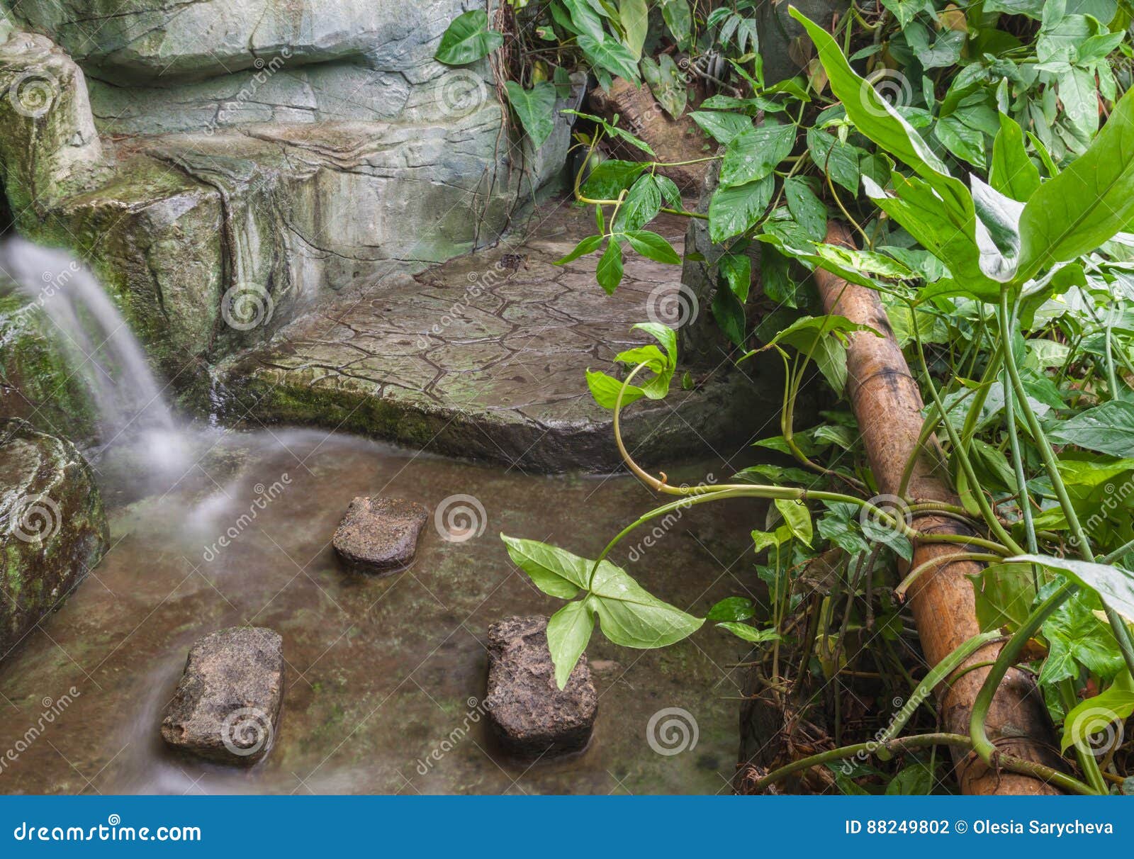 Tropische Zone Im Gewächshaus Stockfoto - Bild von nave, tropisch: 88249802