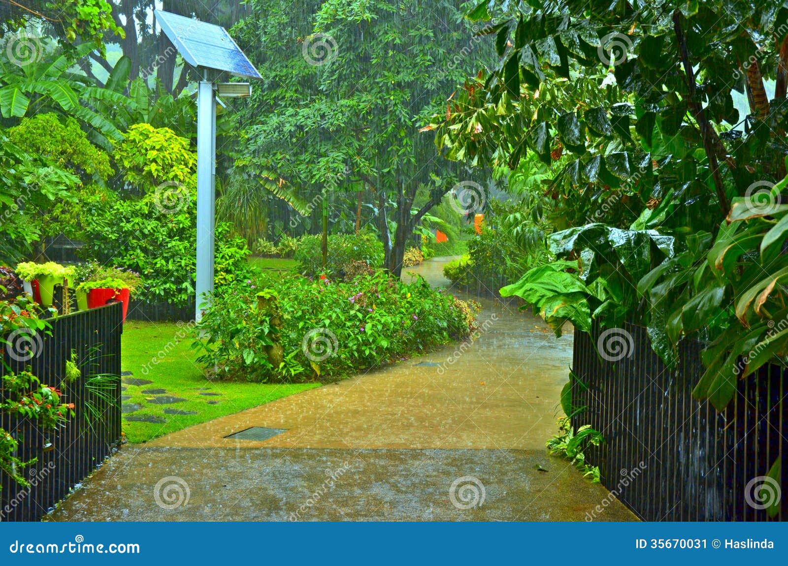 Tropischer Garten-Regen stockbild. Bild von singapur - 35670031