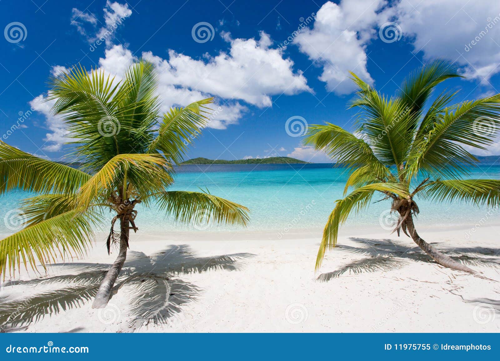 Tropischer Inselstrand Der Palme Stockbild - Bild von insel ...