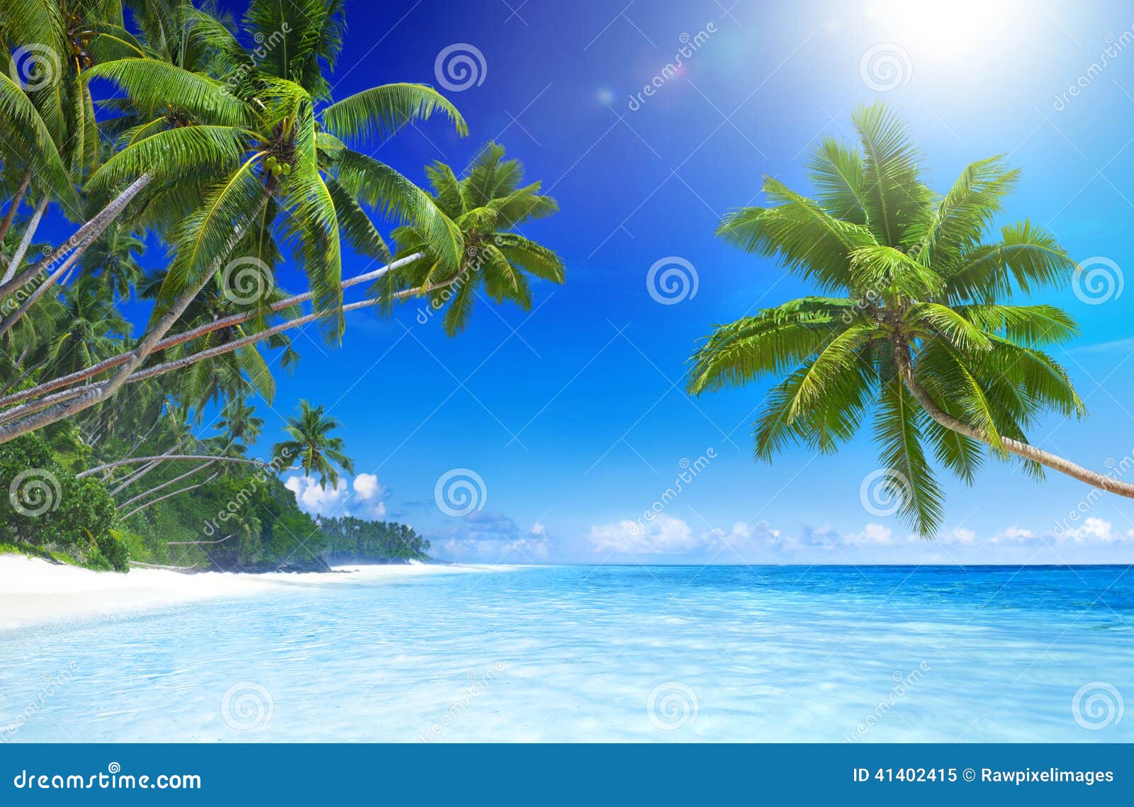Tropischer Paradies-Strand Mit Palme Stockbild - Bild von schön ...
