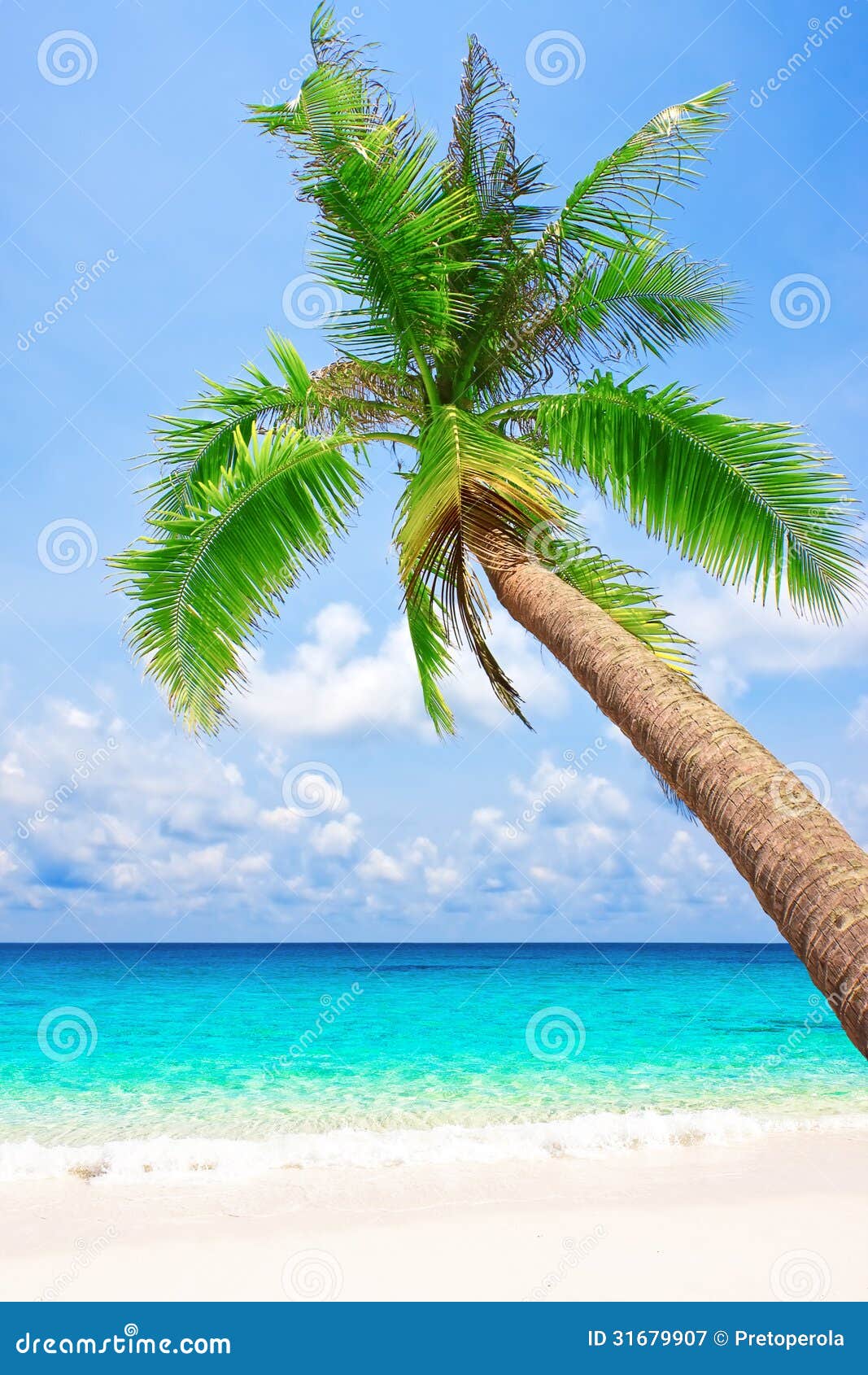 Tropischer Strand Mit Palme Stockbild - Bild von wolke, meerblick: 31679907