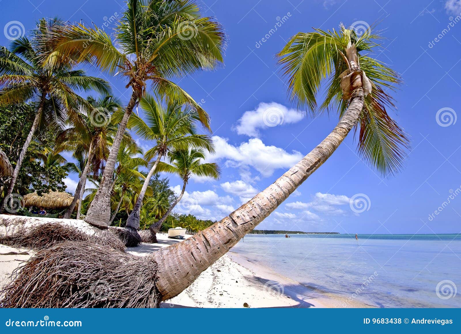 Tropischer Strand Mit Palme Stockfoto - Bild von zieleinheit, küste ...