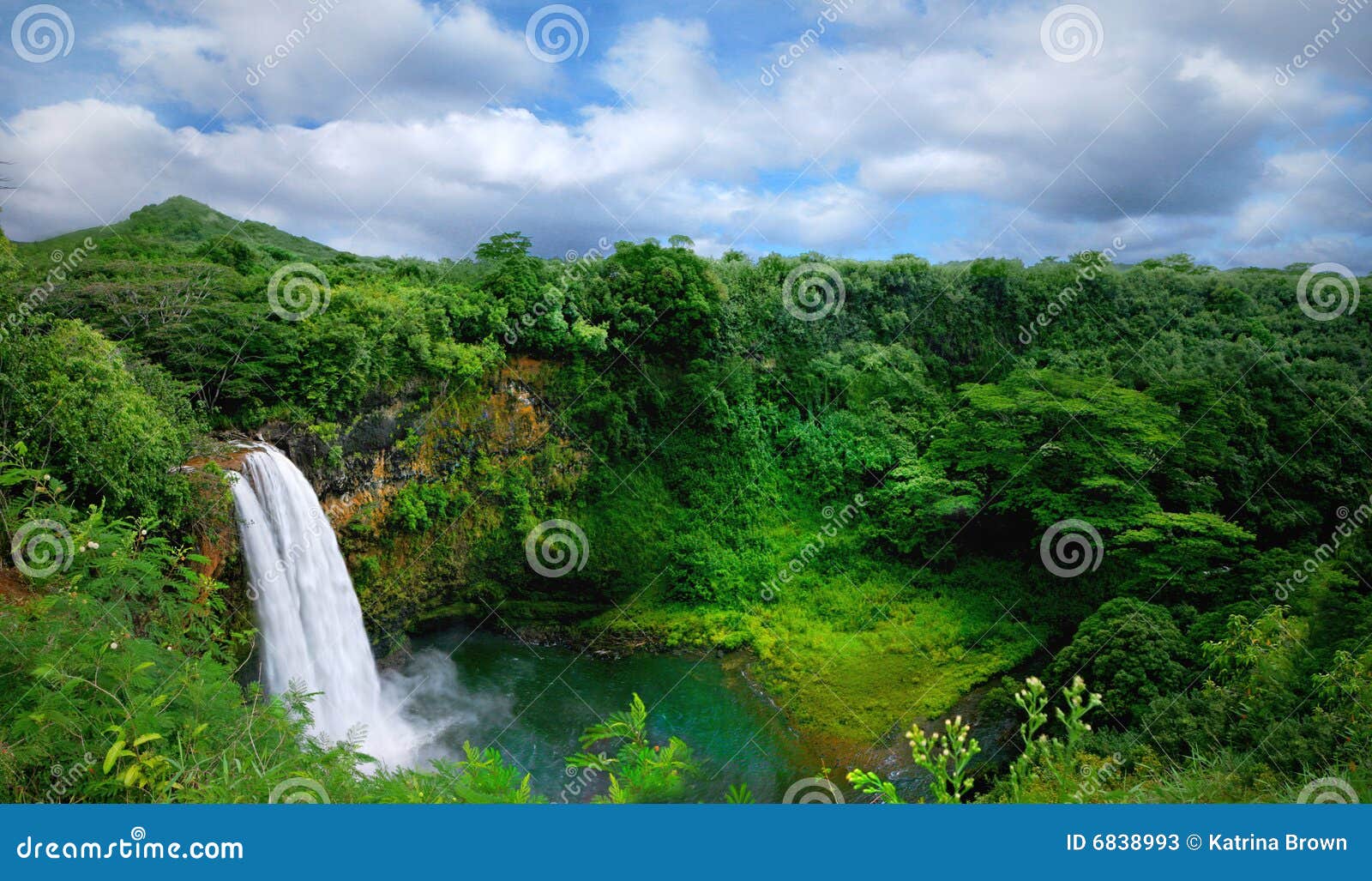 Tropisches Insel-Paradies in Kauai Hawaii Stockbild - Bild von kauai ...