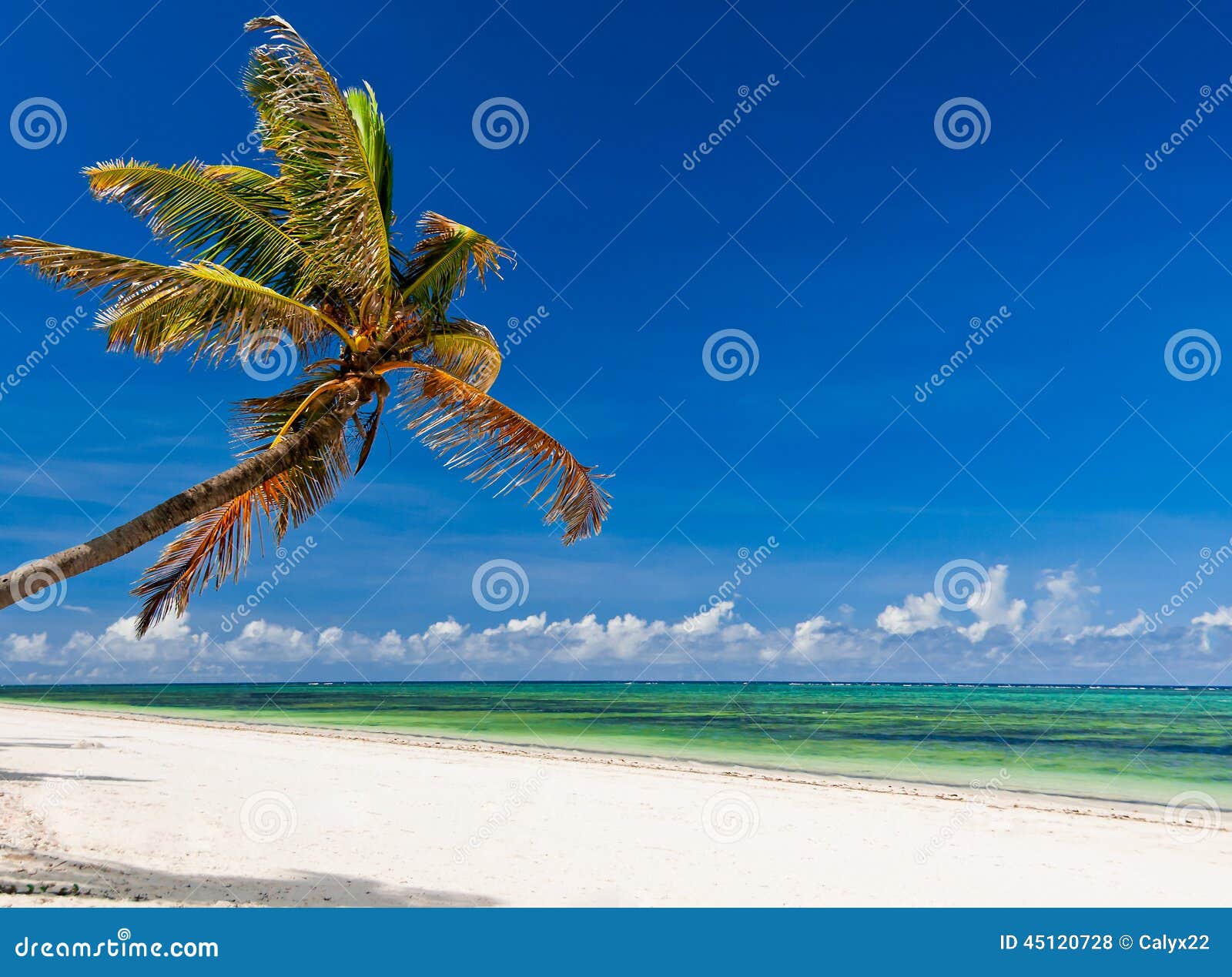 Tropisches Paradies stockfoto. Bild von strand, afrika - 45120728
