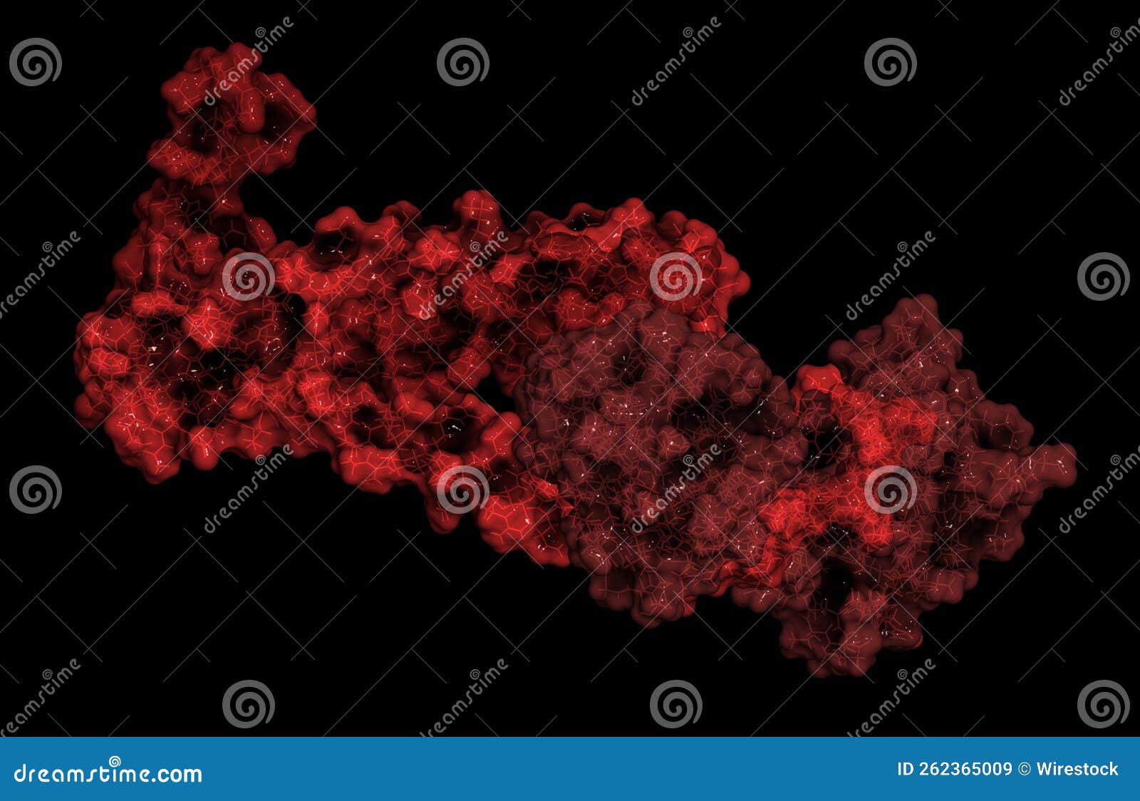 Troponin, 3D Rendering: Structure Of The Human Cardiac Troponin Royalty ...