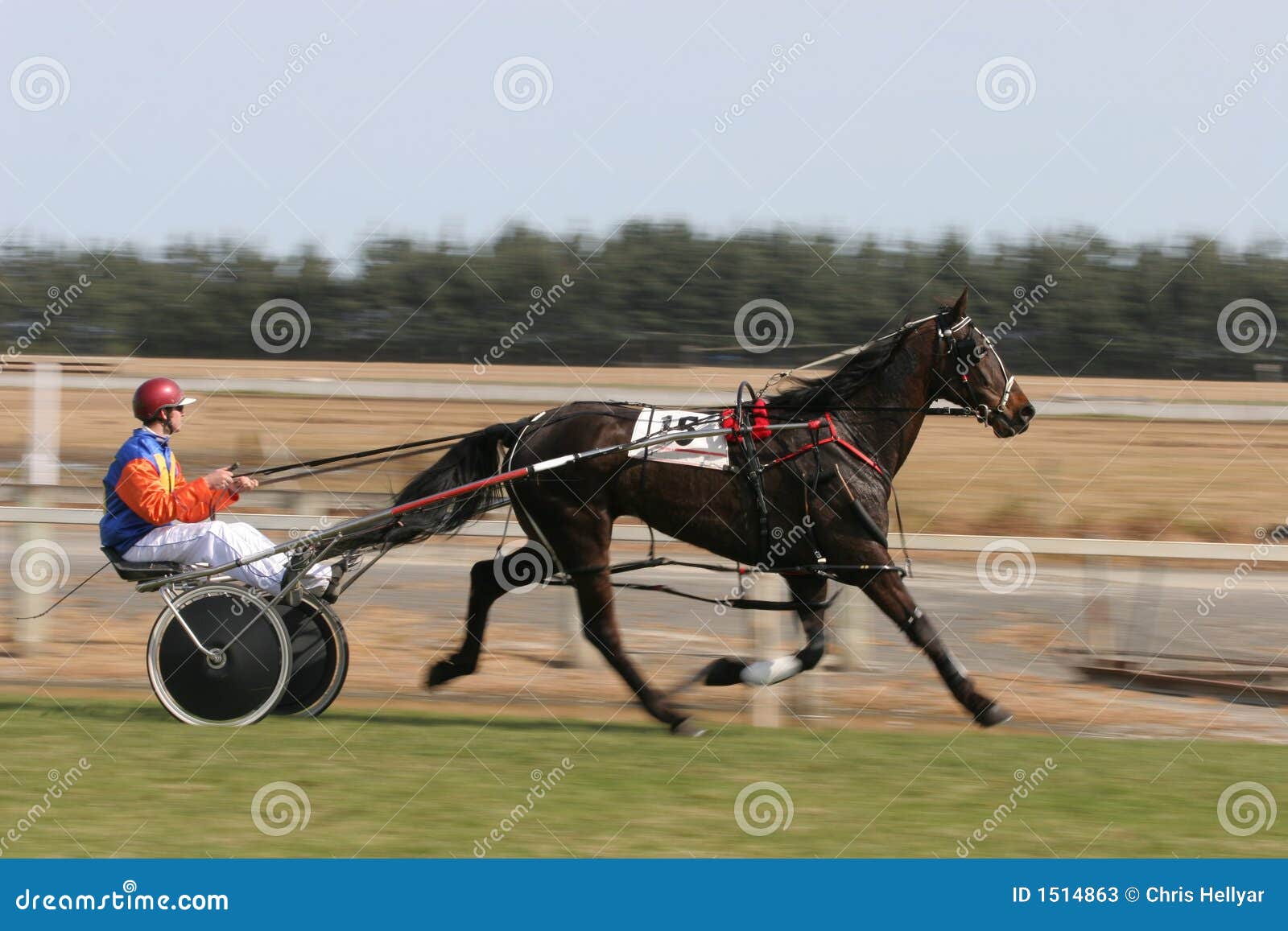 111 Horse Buggy Racing Stock Photos - Free & Royalty-Free Stock Photos ...