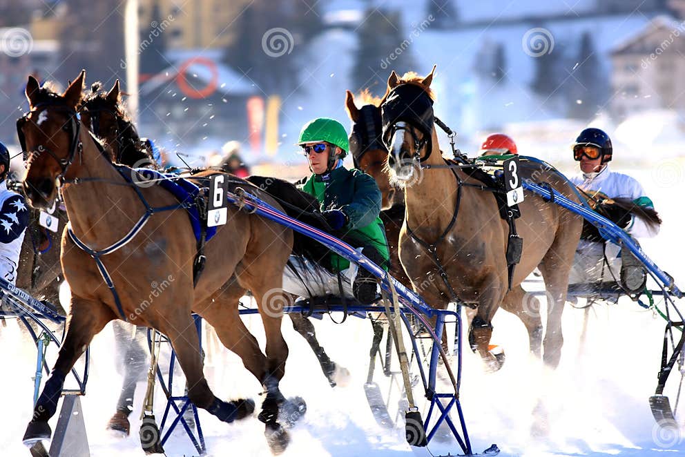 Trotting Race in the snow editorial photography. Image of high - 4656862