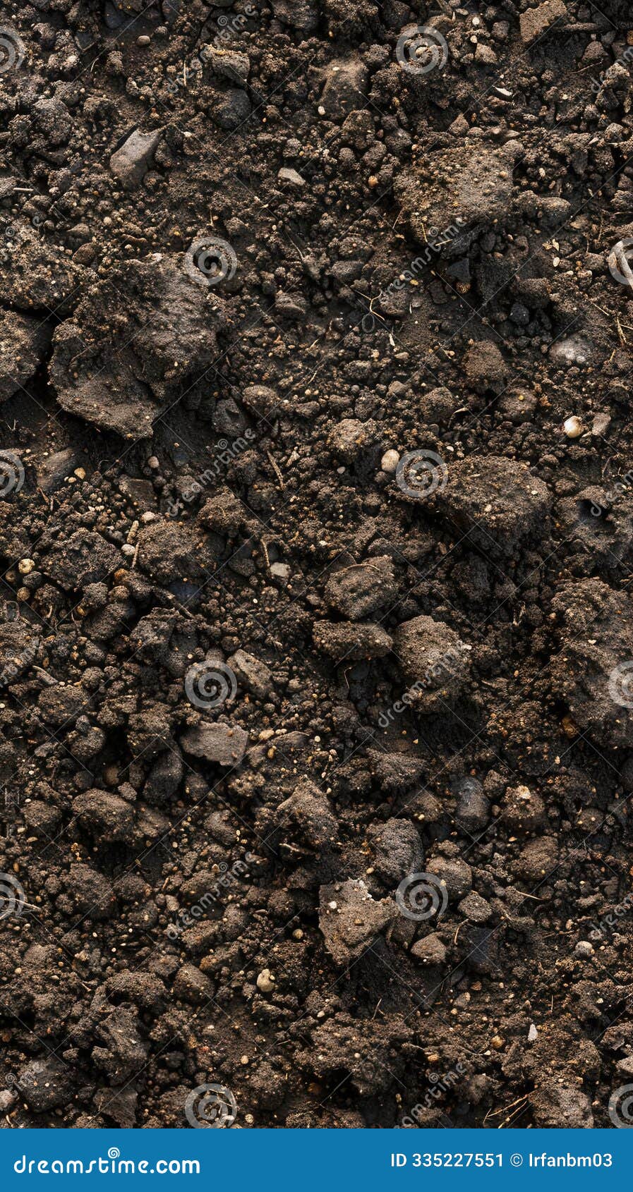 Troublesome Terrain. Compacted, Dense, and Poorly Drained Soil Texture ...