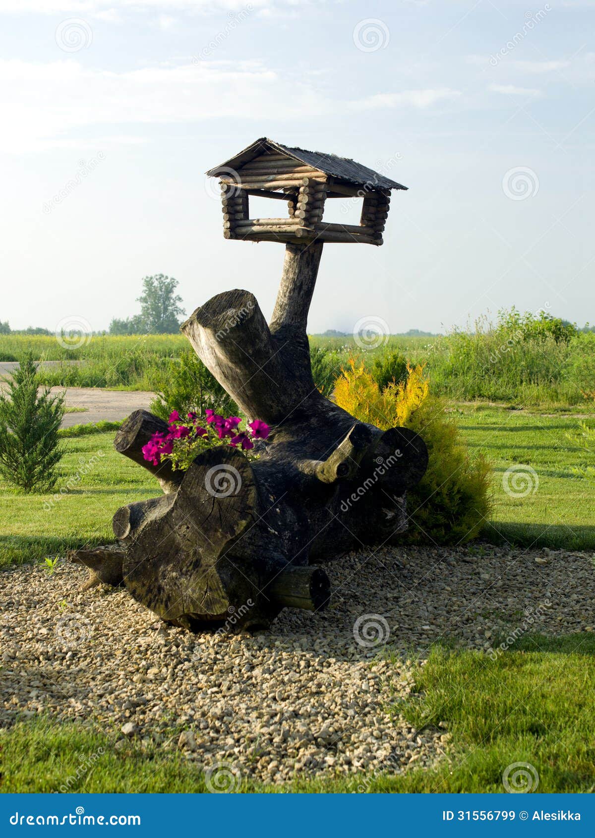 Trough for Birds on Driftwood Stock Image - Image of color, plant: 31556799