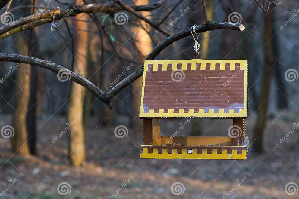 Trough for birds on a tree stock photo. Image of animal - 66913252