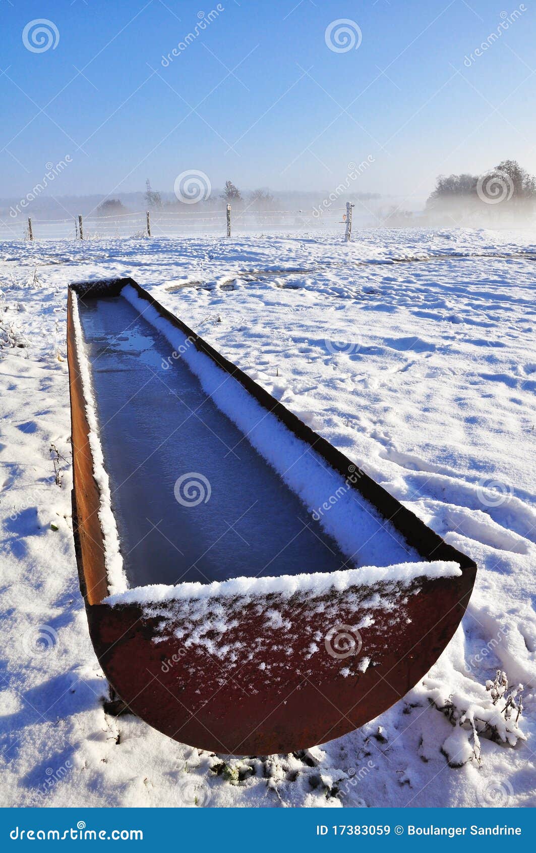 Trough Filled with Frozen Water Stock Image - Image of winter, snow ...