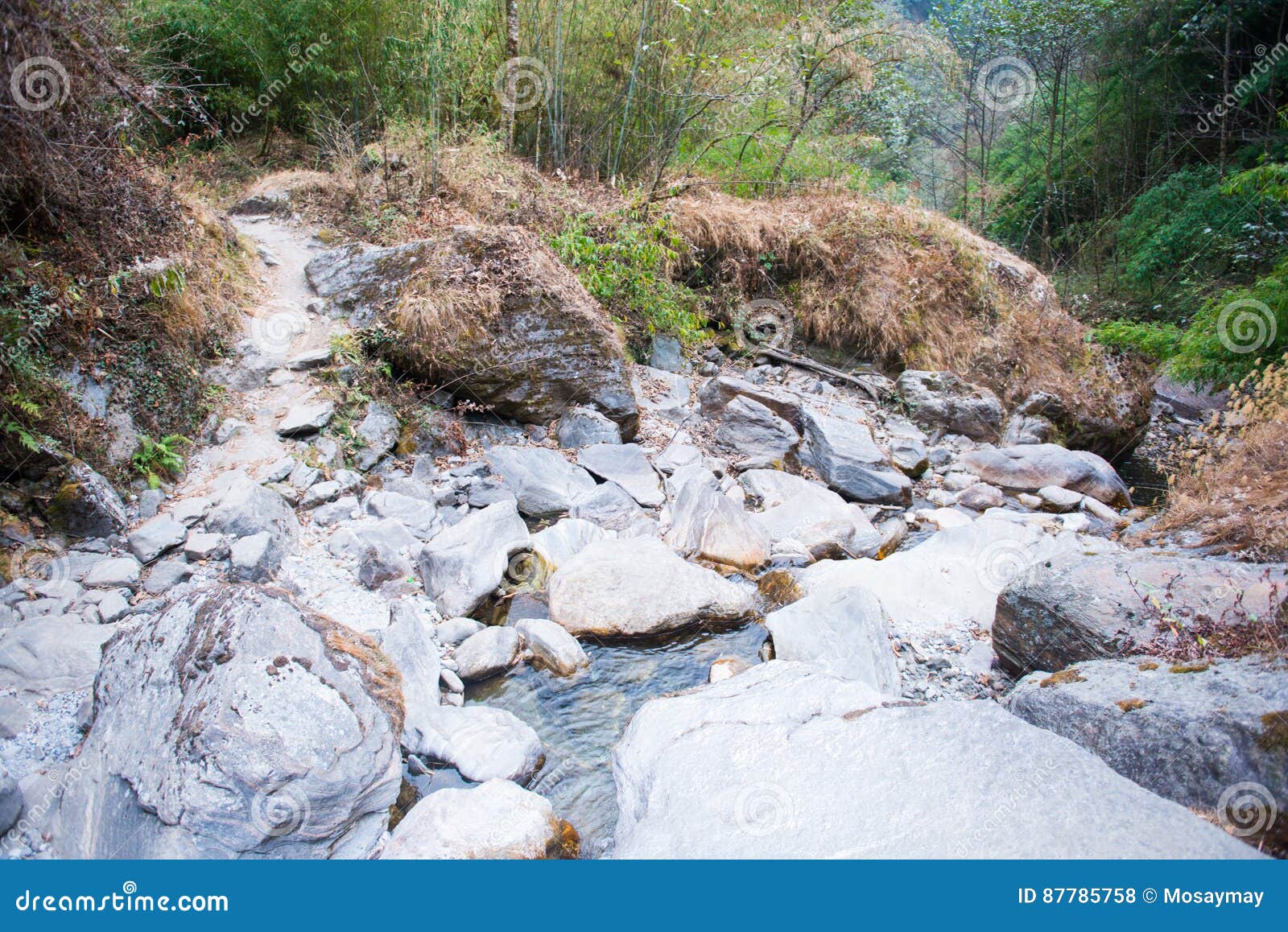 Trough from the River on Mountain Stock Photo - Image of cold, river ...