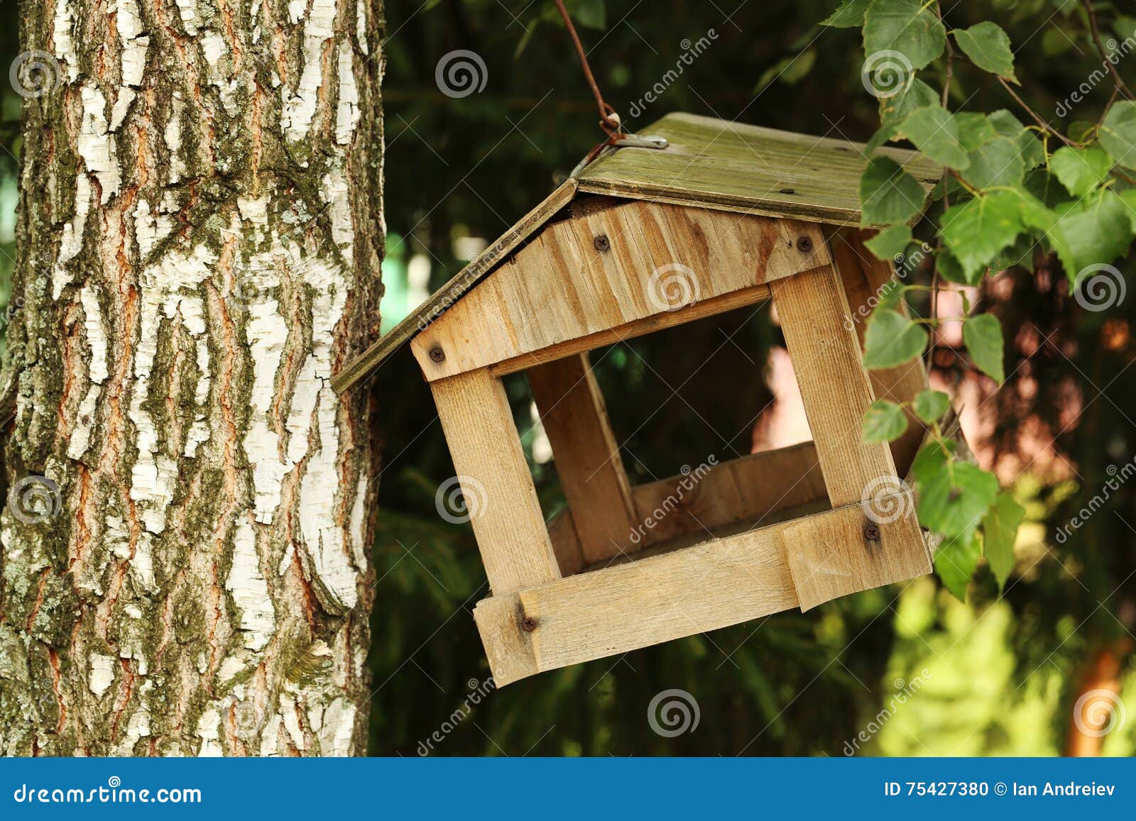 Trough stock photo. Image of trough, nature, tree, forest - 75427380