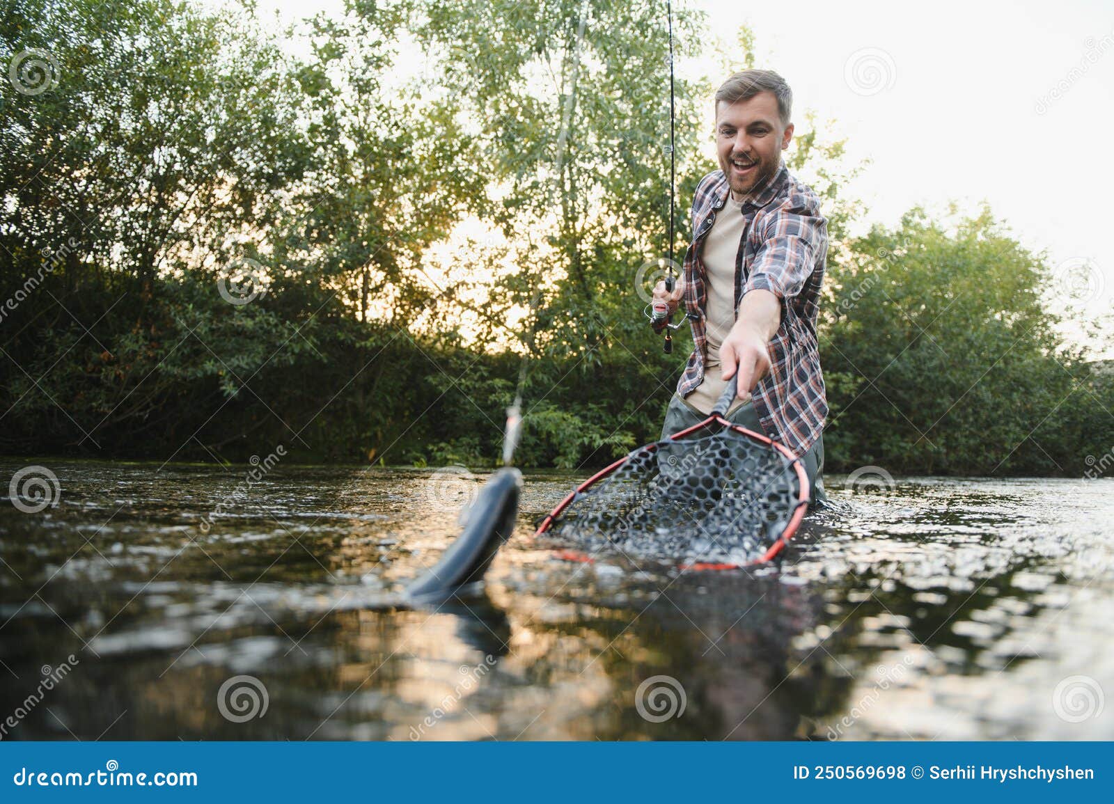 Trout Being Caught in Fishing Net. Stock Photo - Image of catch ...