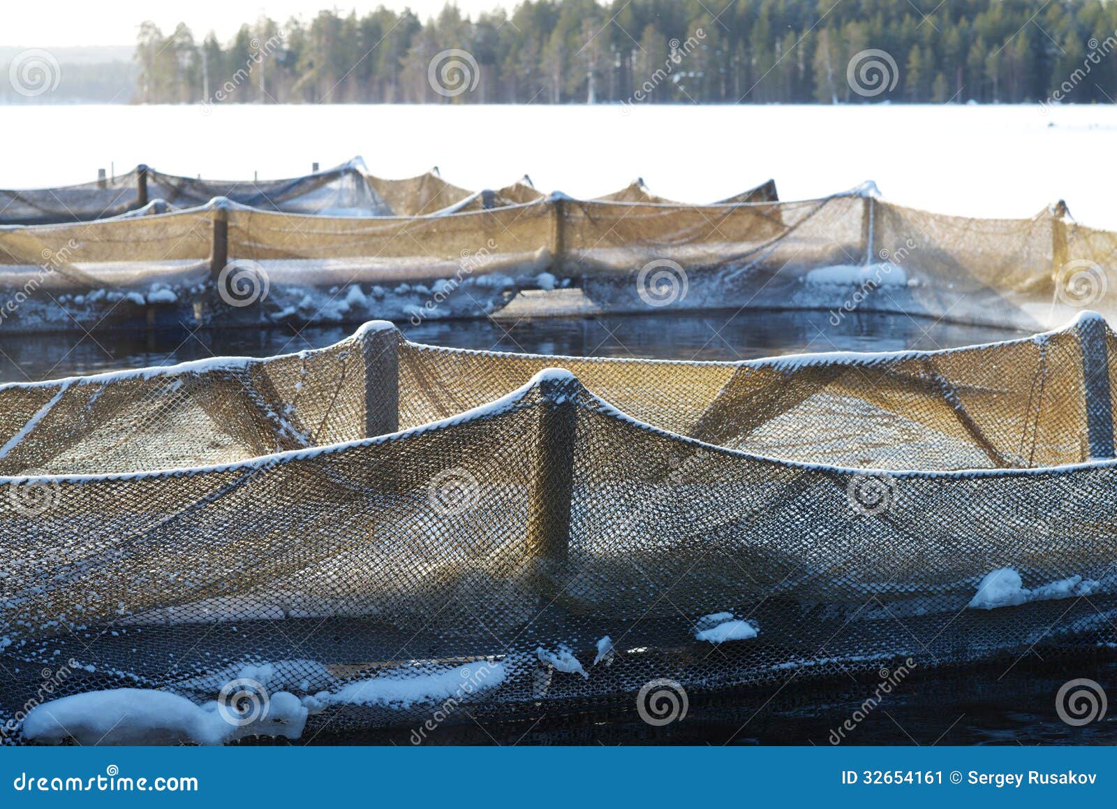 Trout farm stock image. Image of fishing, freshwater - 32654161