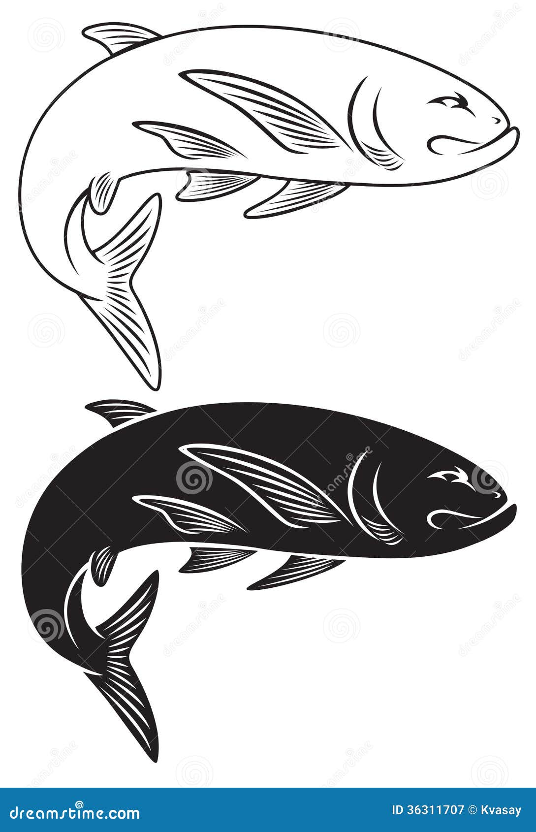 Trout stock vector. Illustration of common, scales, carp - 36311707