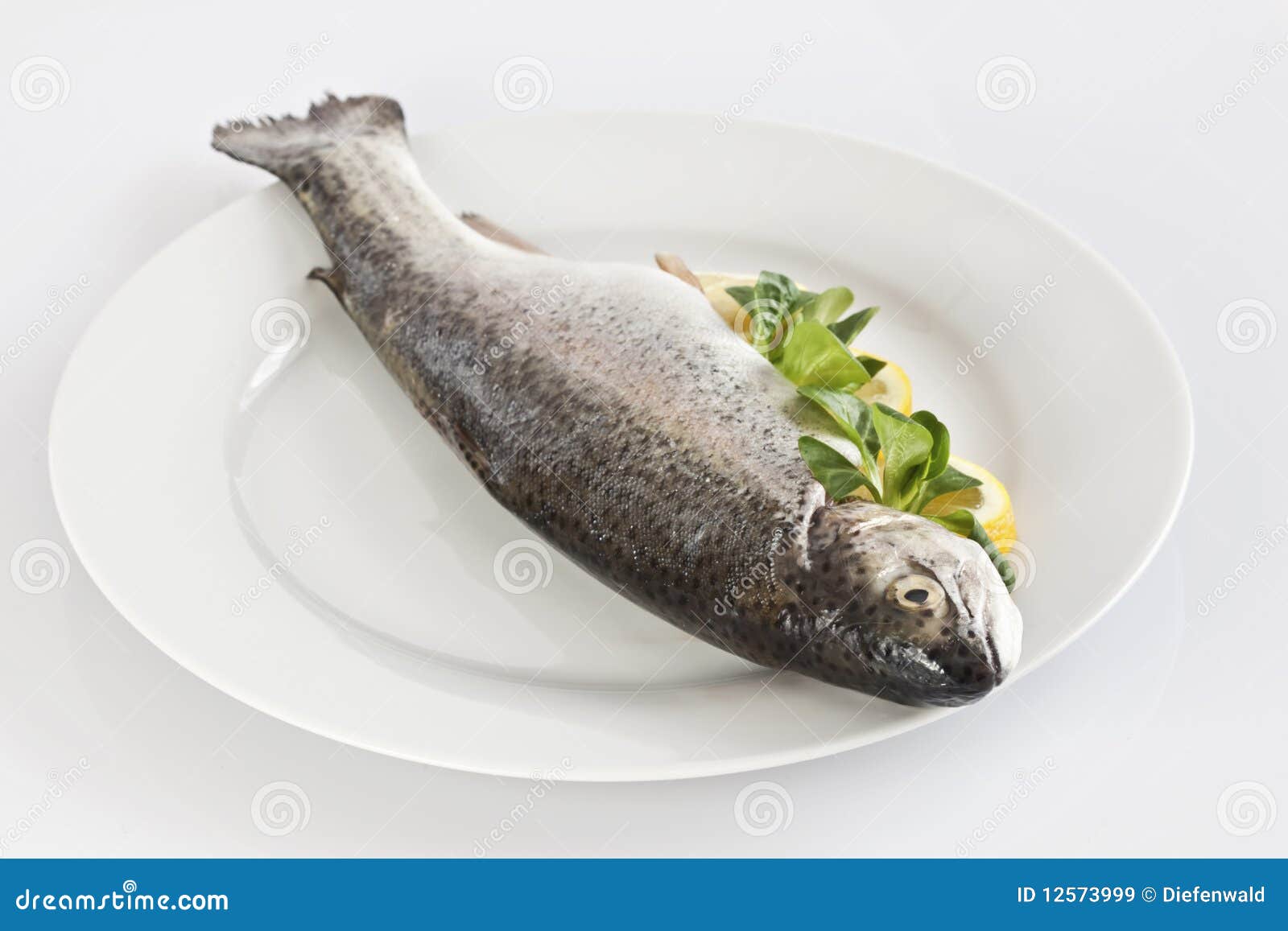 Trout fish stock image. Image of seafood, food, tasty - 12573999