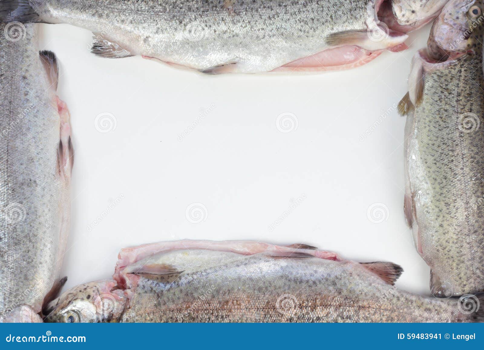 Trout fish frame. stock image. Image of cuisine, uncooked - 59483941