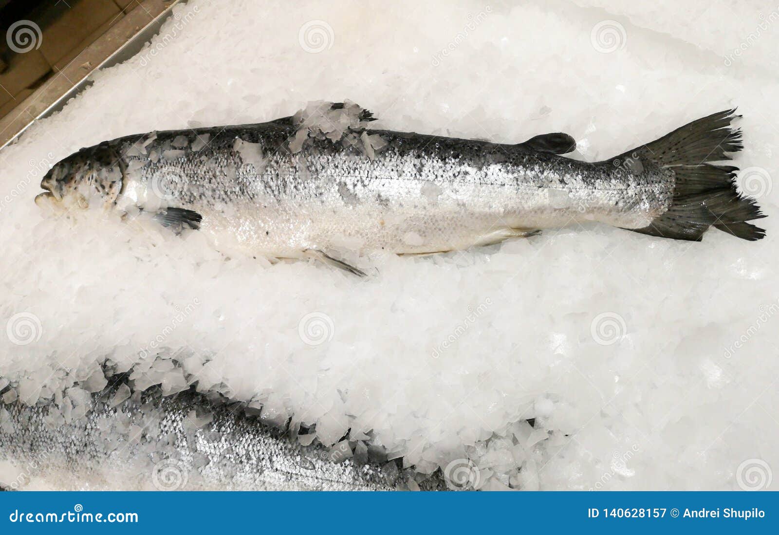 Trout Fish in the Ice in the Store Stock Image - Image of trout ...
