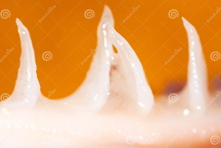 Trout Fish Teeth on a Yellow Background Stock Photo - Image of scales ...