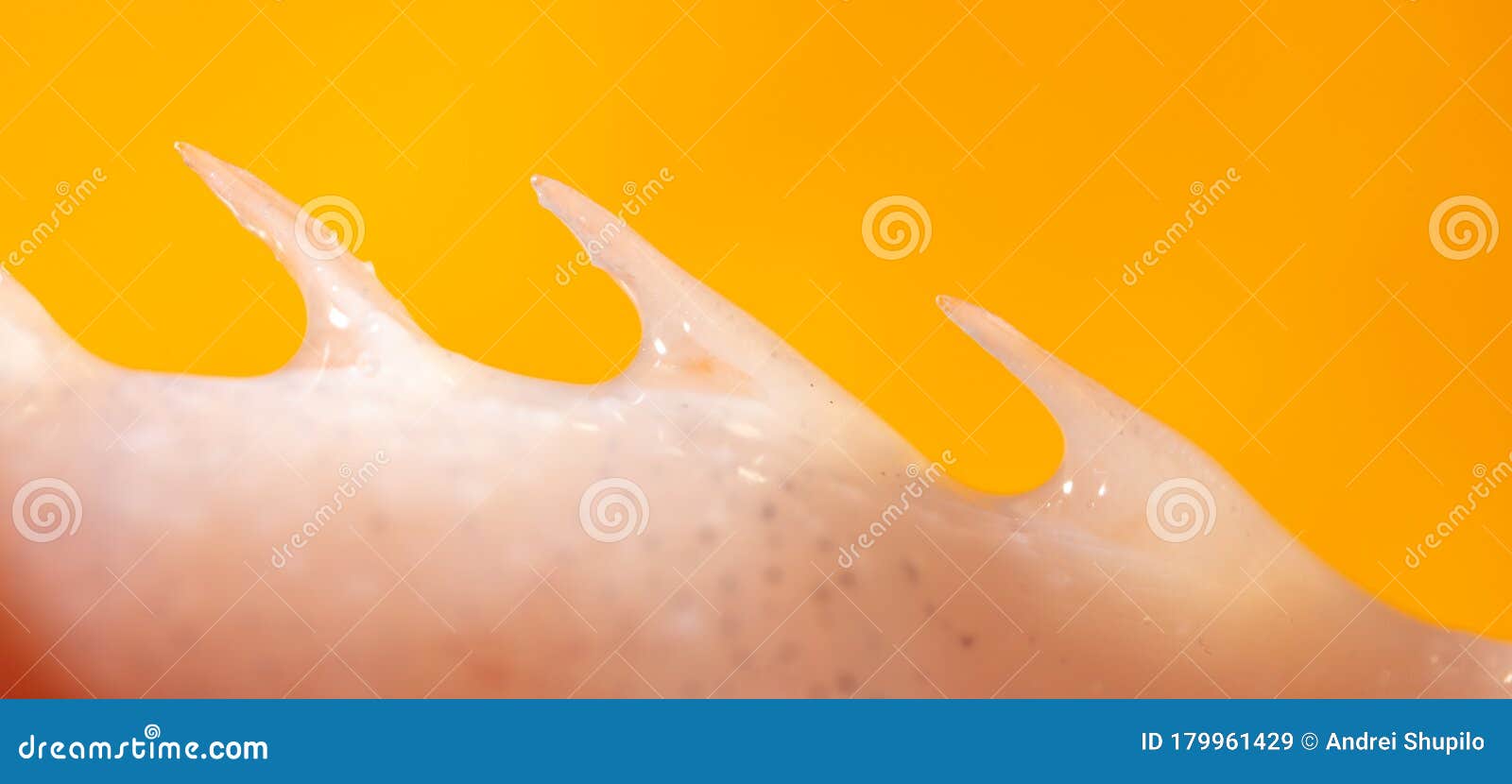 Trout Fish Teeth on a Yellow Background Stock Image - Image of nature ...