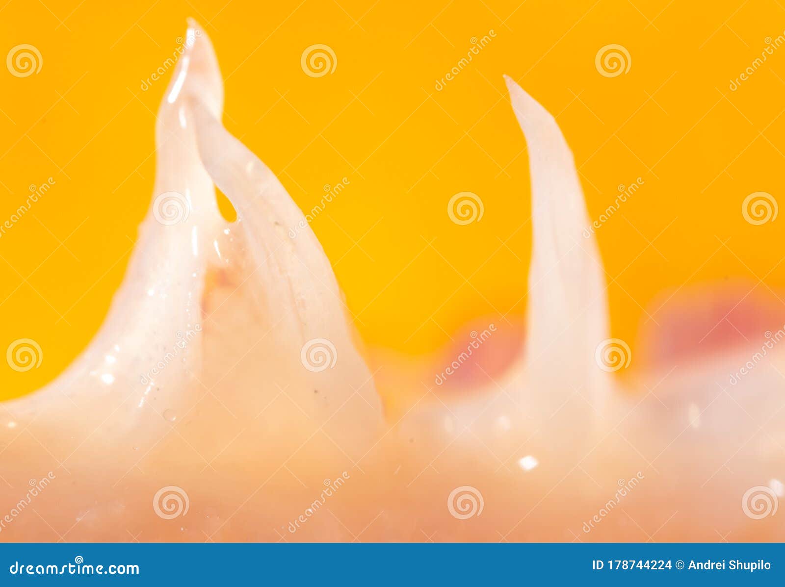 Trout Fish Teeth on a Yellow Background Stock Photo - Image of fishing ...