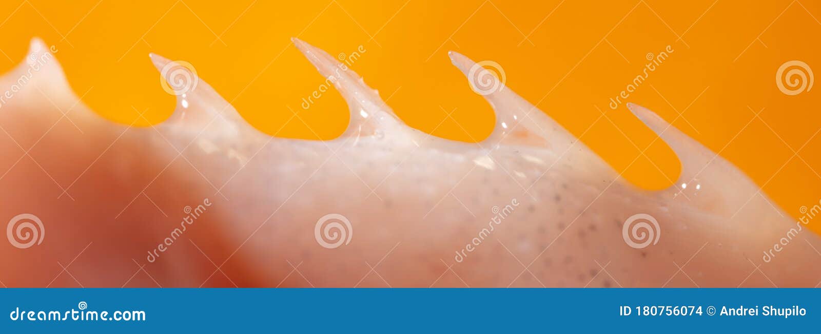 Trout Fish Teeth on a Yellow Background Stock Photo - Image of silver ...